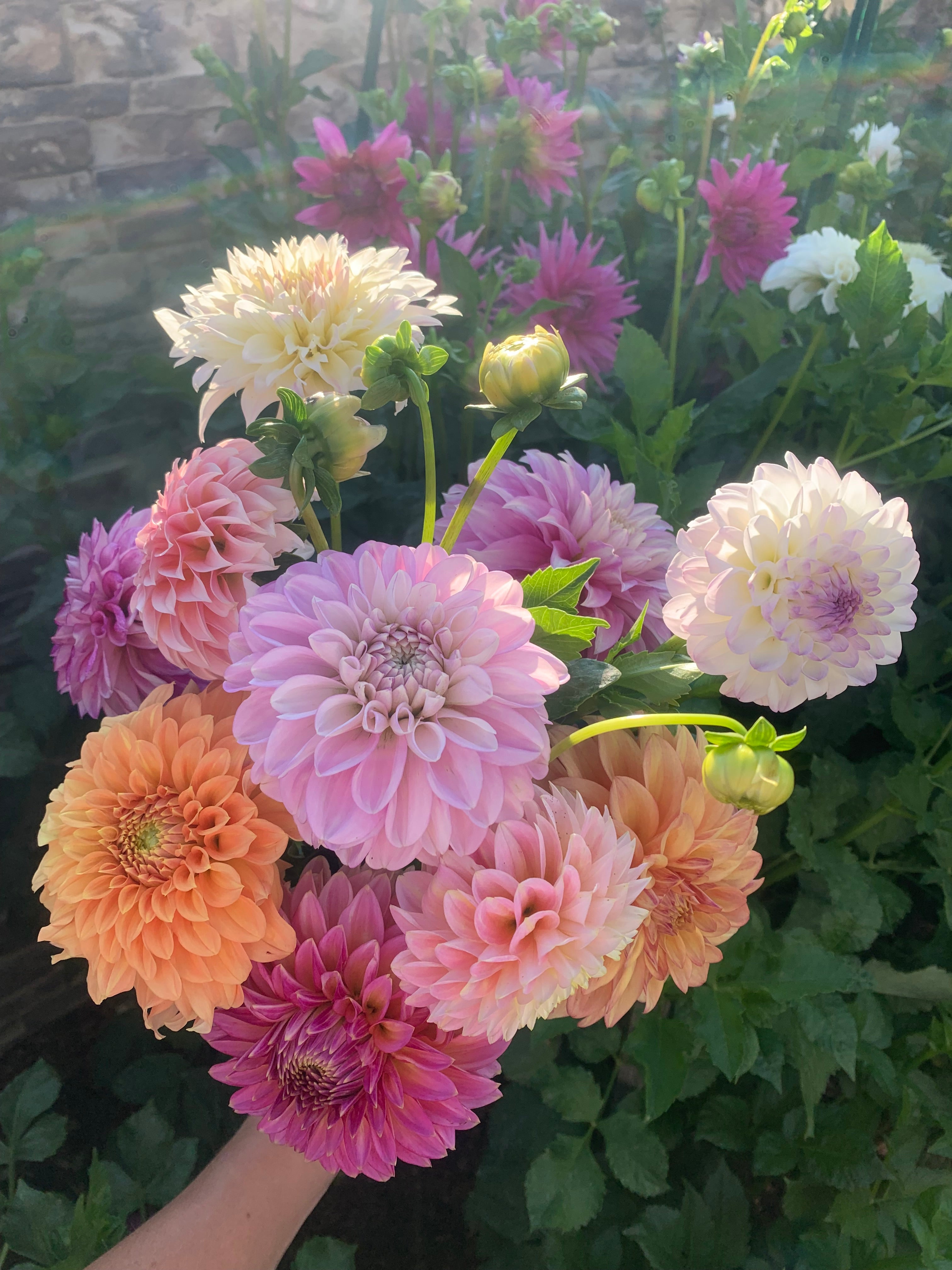 Bouquets – HeathFlowerFarm